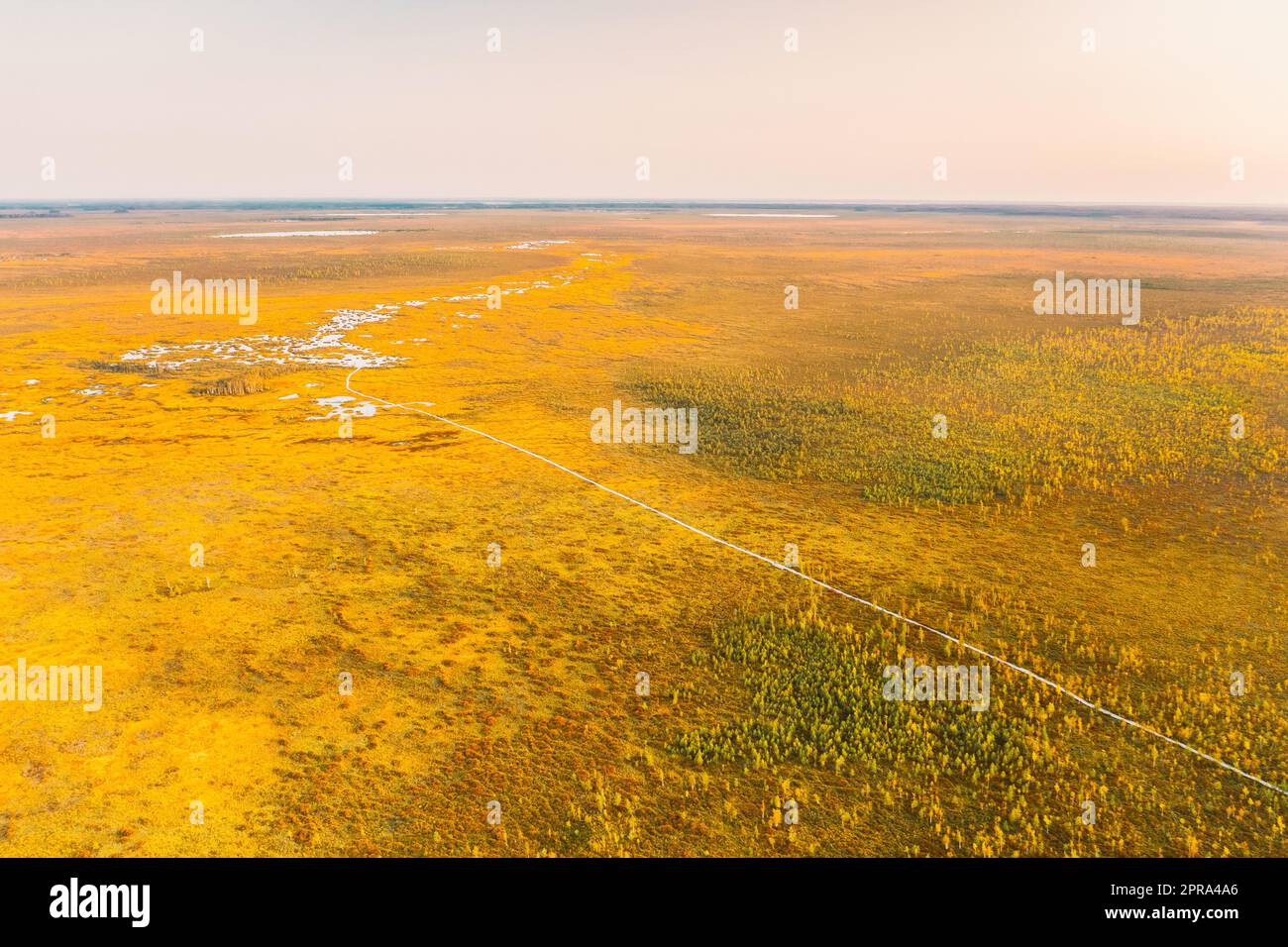 Miory District, Vitebsk Region, Belarus. The Yelnya Swamp. Aerial View ...