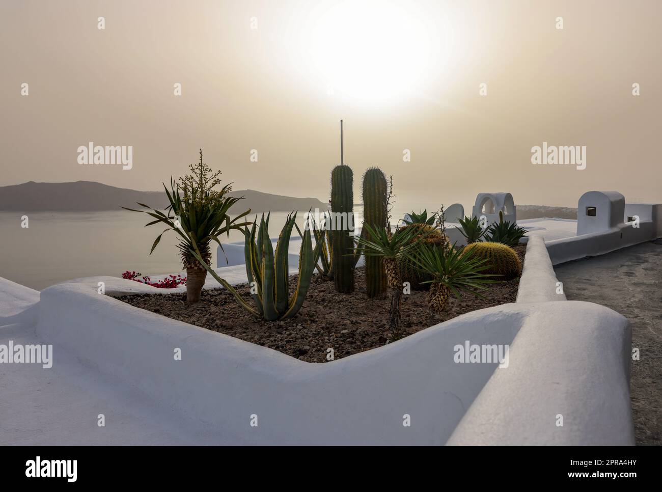 Santorini cacti hi-res stock photography and images - Alamy