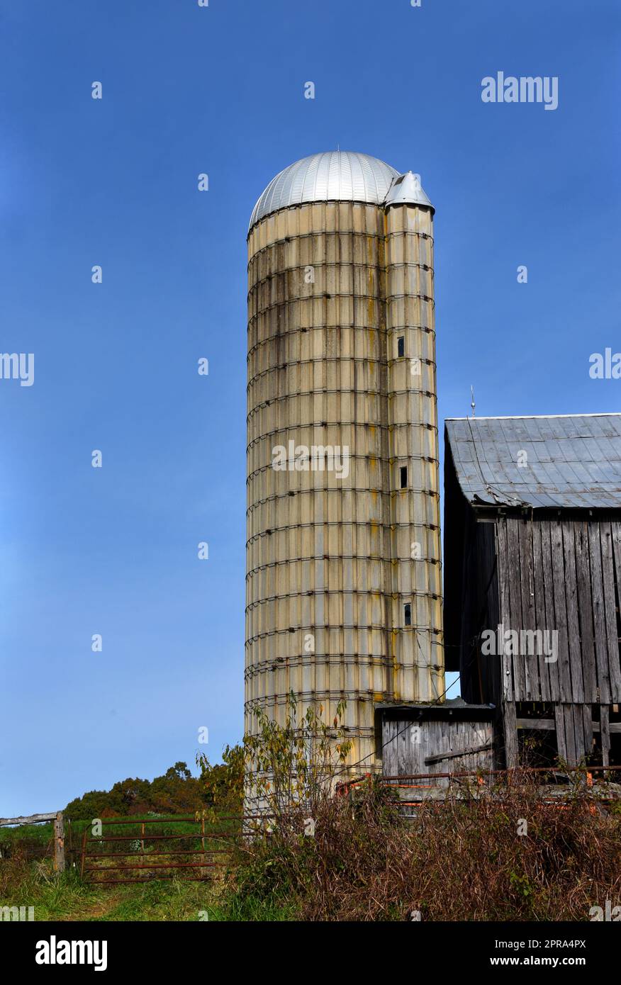 Barn silo, with silver domed roof, stands besides a rustic wooden barn ...