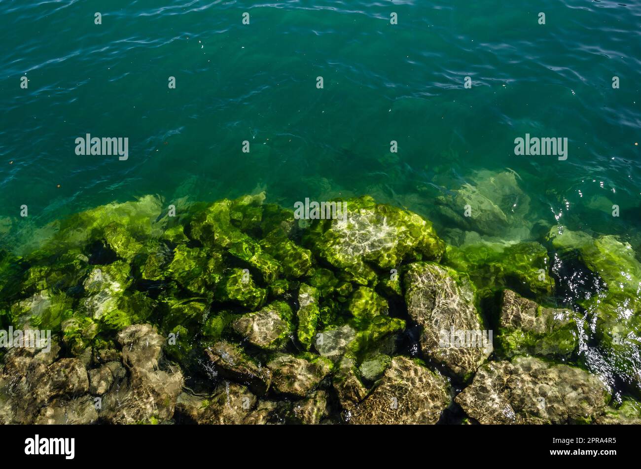 Rock lake bottom hi-res stock photography and images - Alamy