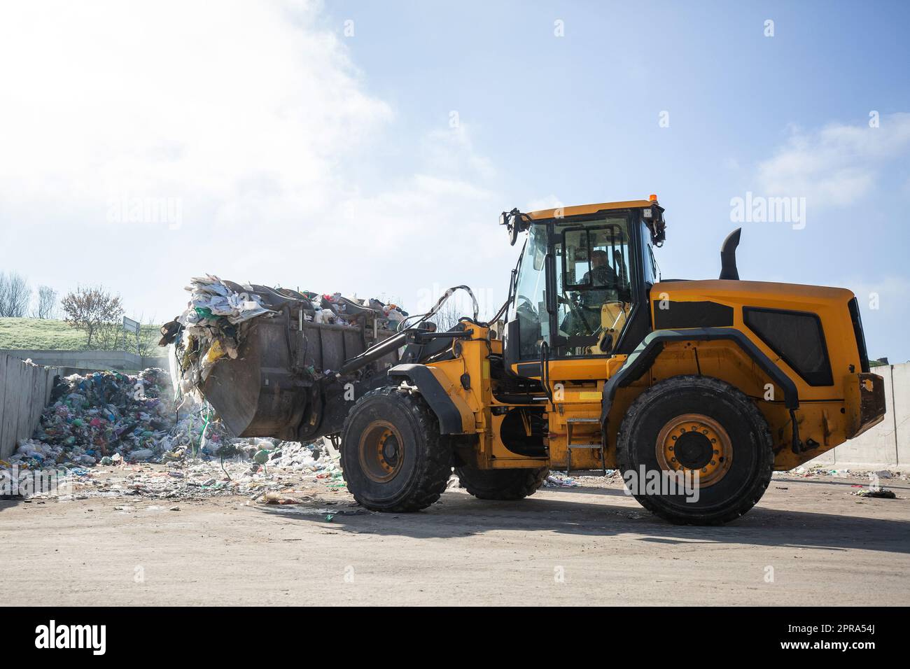 Yellow skid steer loader moving wooden waste material, shaking out a ...