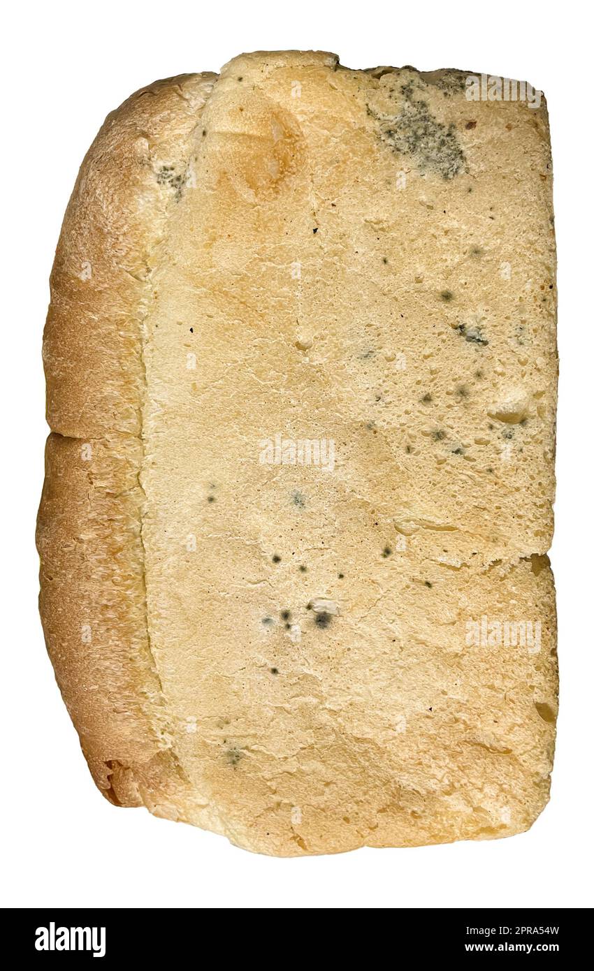 moldy loaf of white bread on a white background Stock Photo - Alamy