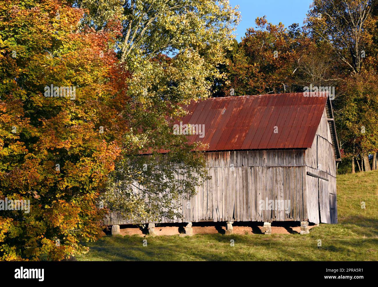 Old, weathered and faded barn was leveled using stones stacked under ...