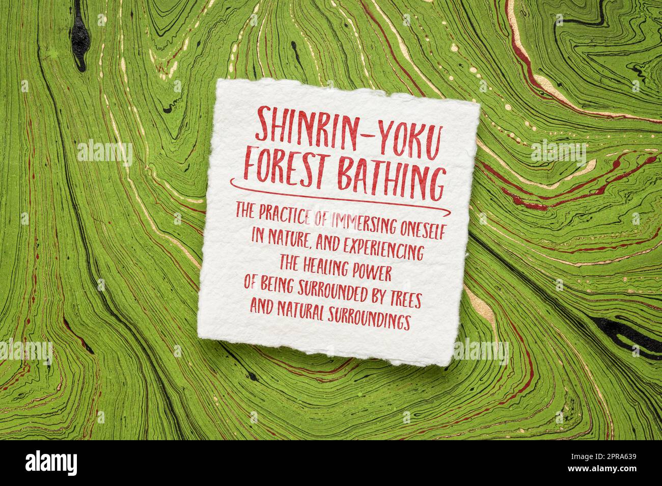 Japanese concept of shinrin-yoku - forest bathing, the practice of ...