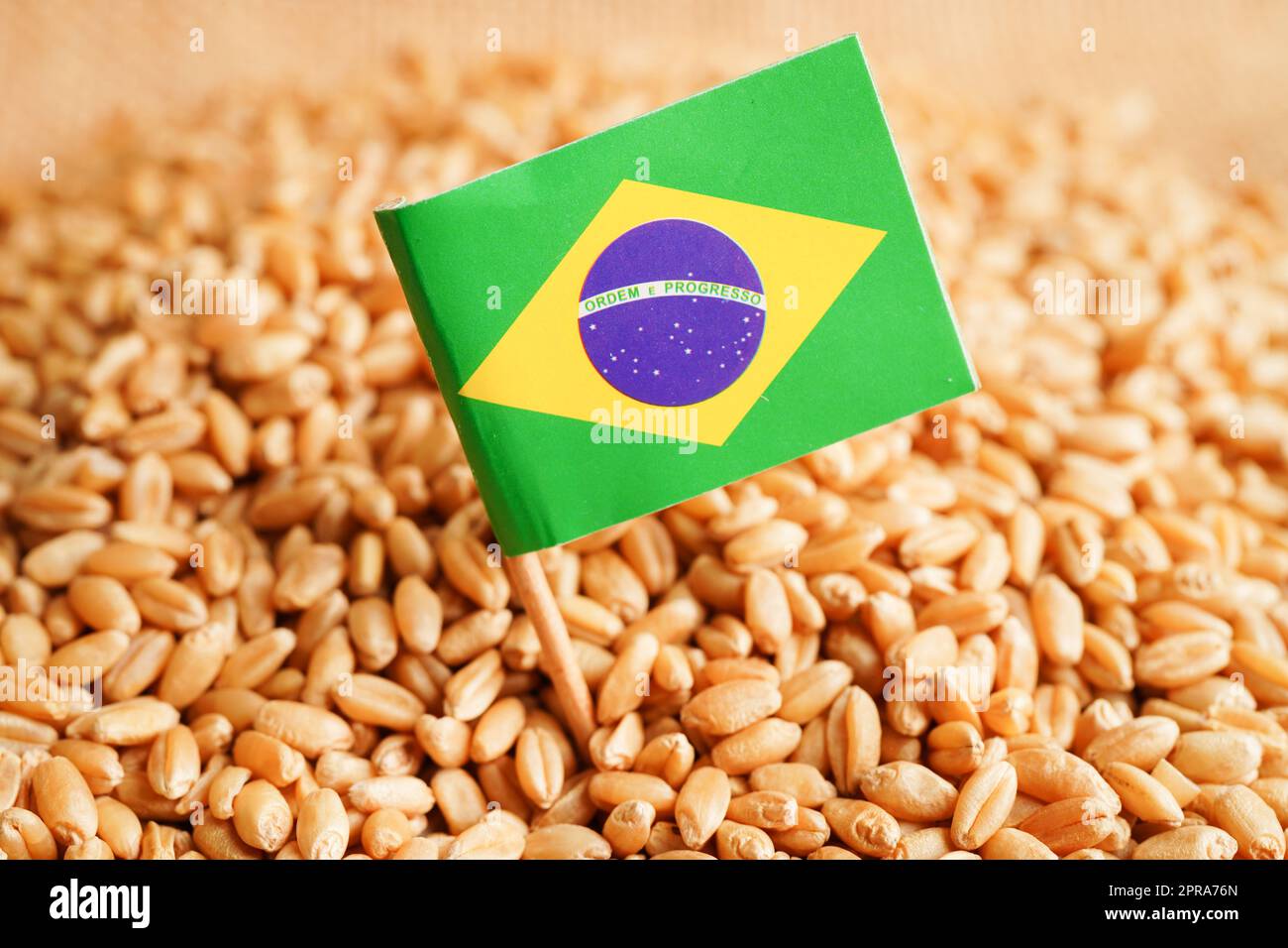 Brazil on grain wheat, trade export and economy concept Stock Photo - Alamy