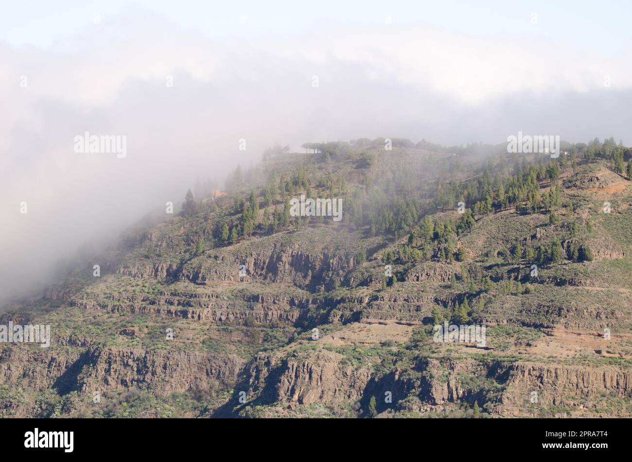 Cliff slope hi-res stock photography and images - Alamy