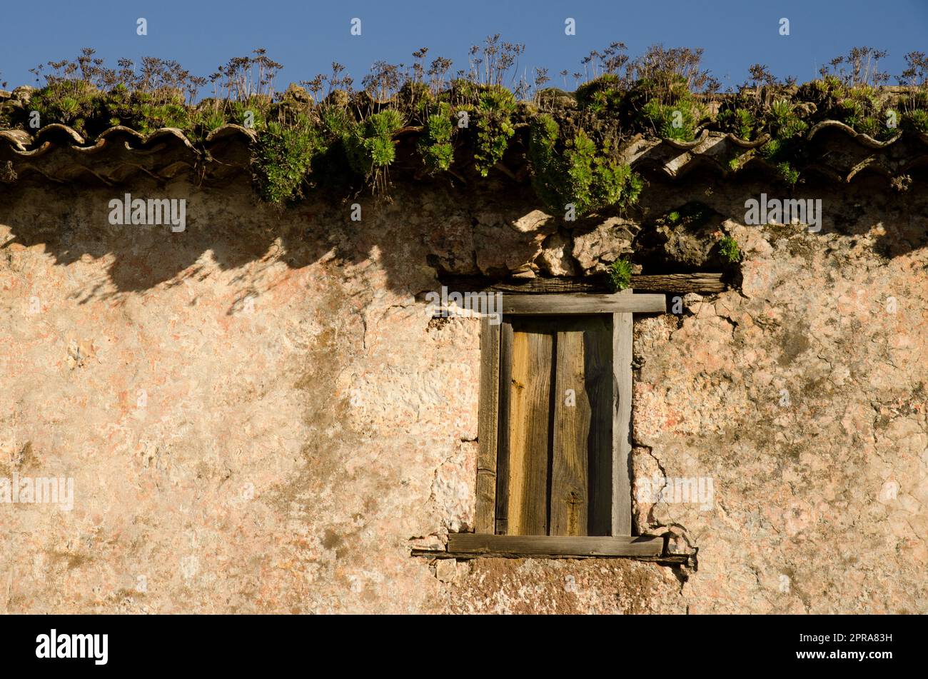 Old house with a wooden window and the roof tile covered with ...
