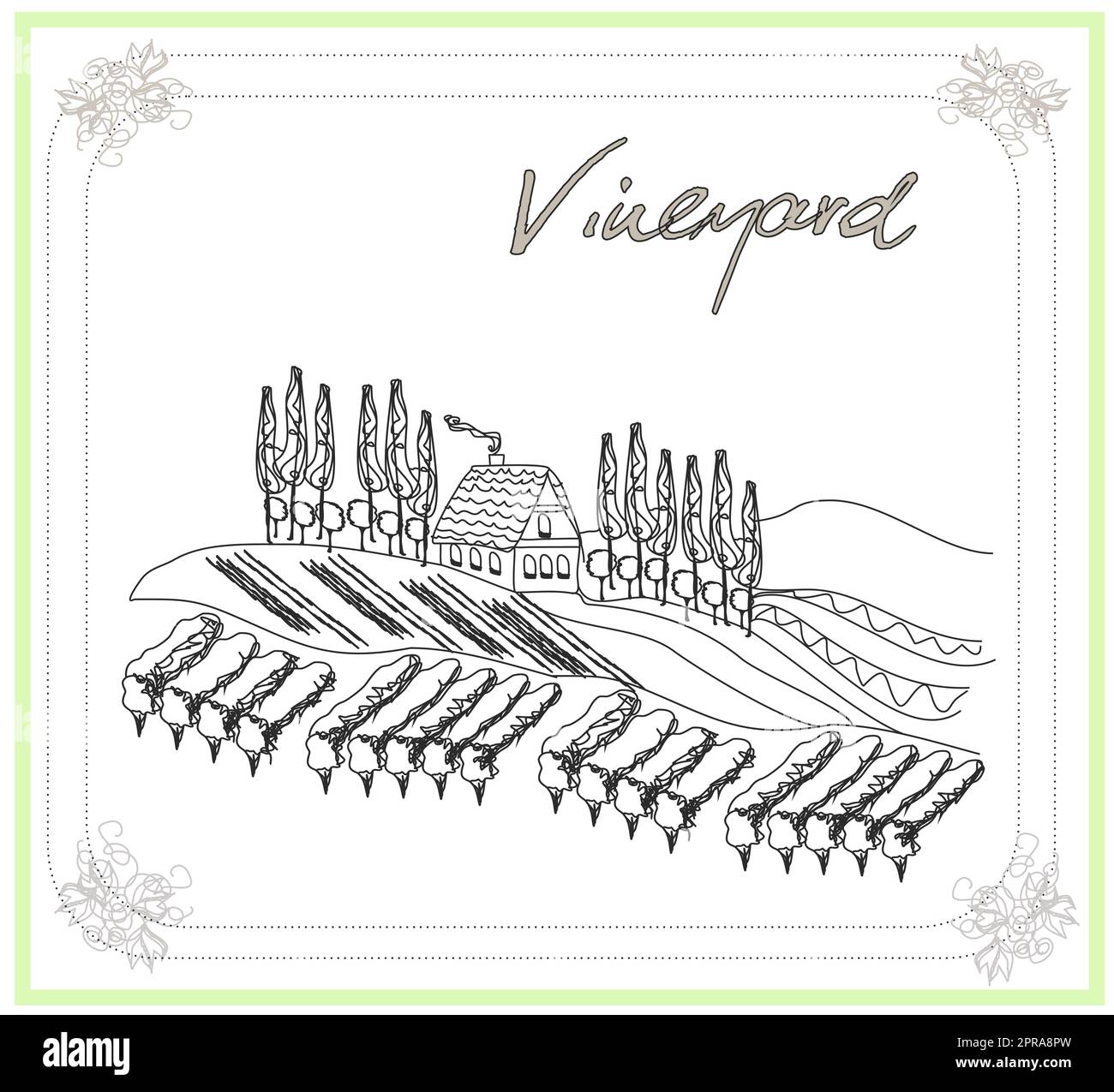 Vector illustration of vineyard Stock Photo - Alamy Vector illustration of vineyard Stock Photo - Alamy