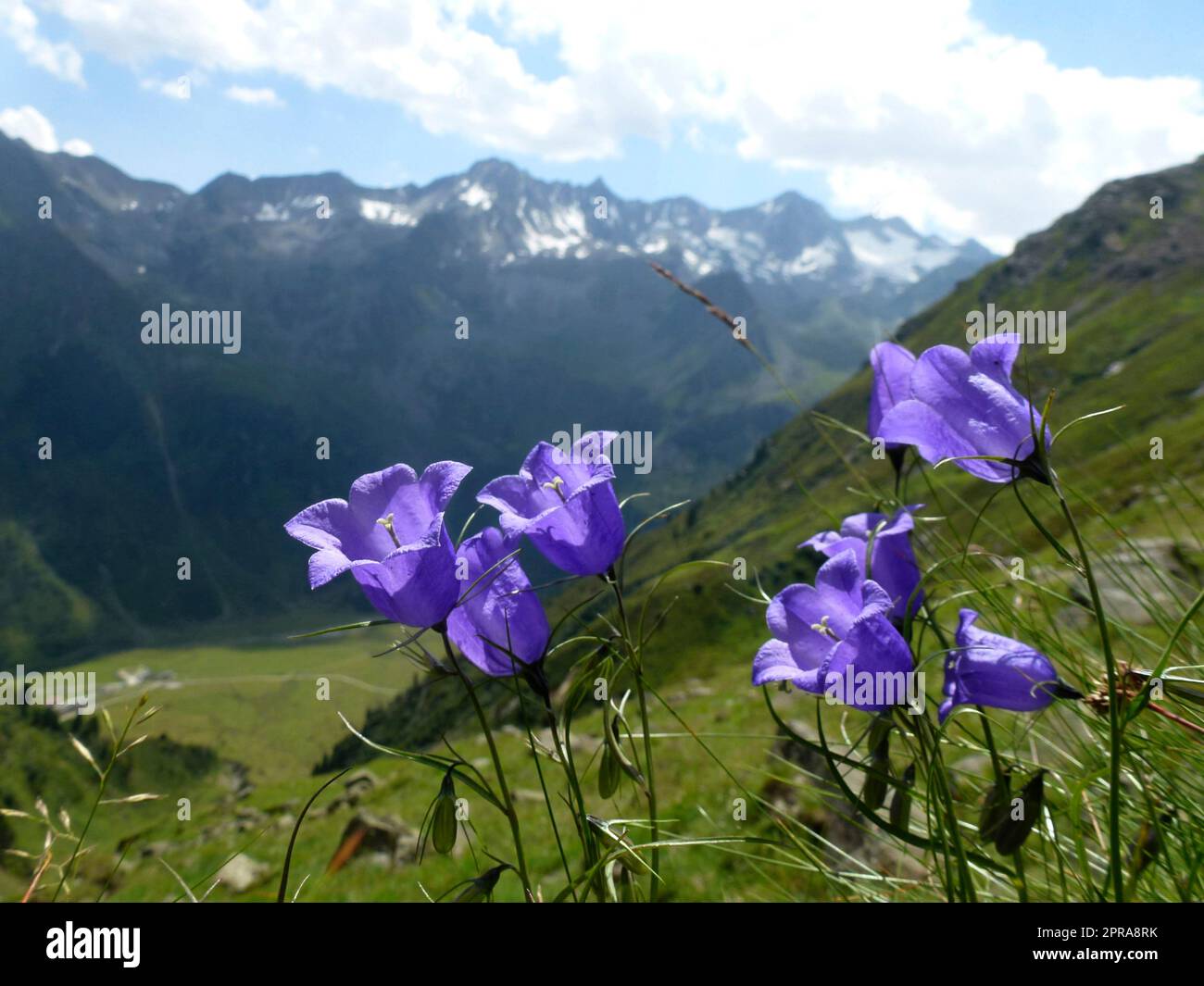 Stubai high-altitude hiking trail, lap 2 in Tyrol, Austria Stock Photo ...