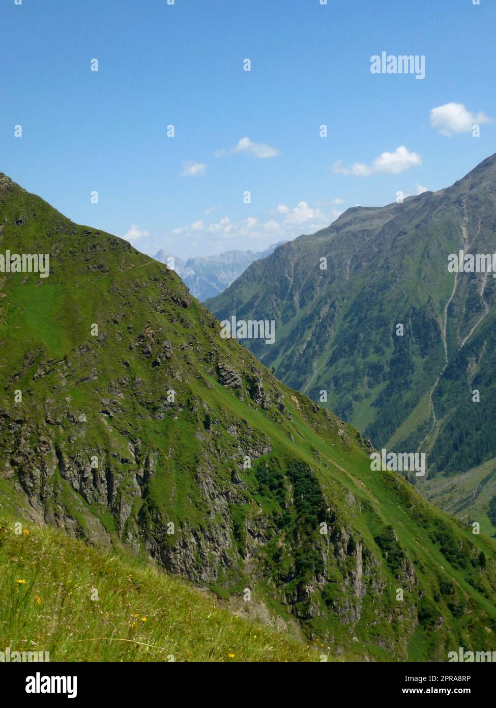 Dresdner stubai hi-res stock photography and images - Alamy