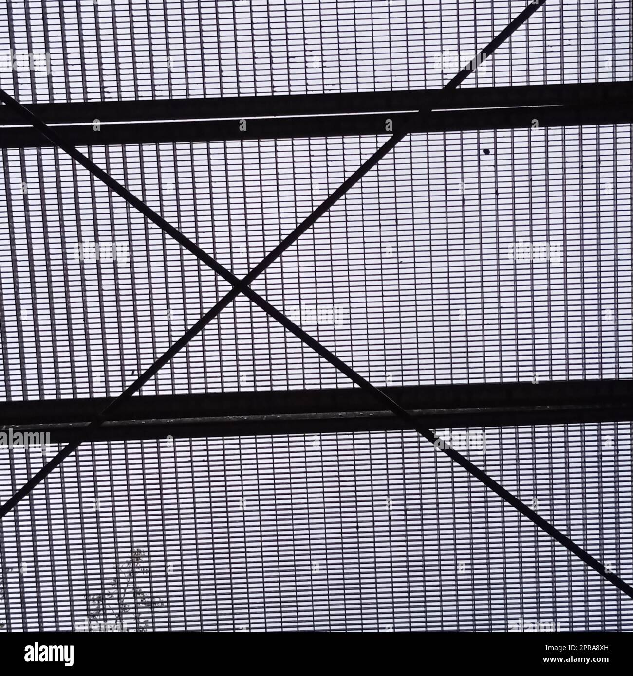 Straight alignment hi-res stock photography and images - Alamy