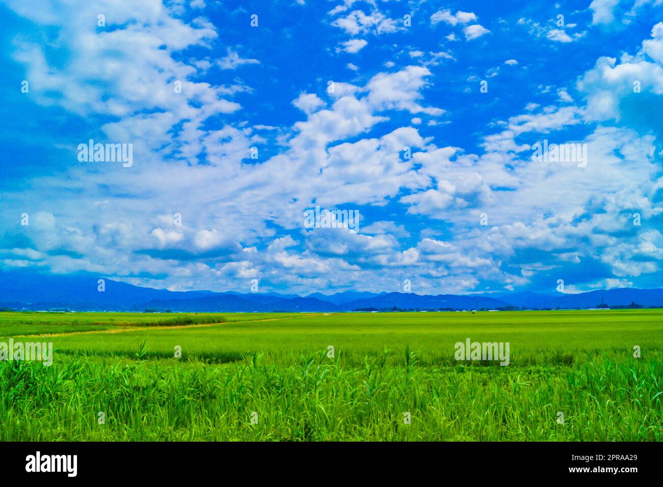 Rural landscape in Akita Prefecture Stock Photo - Alamy