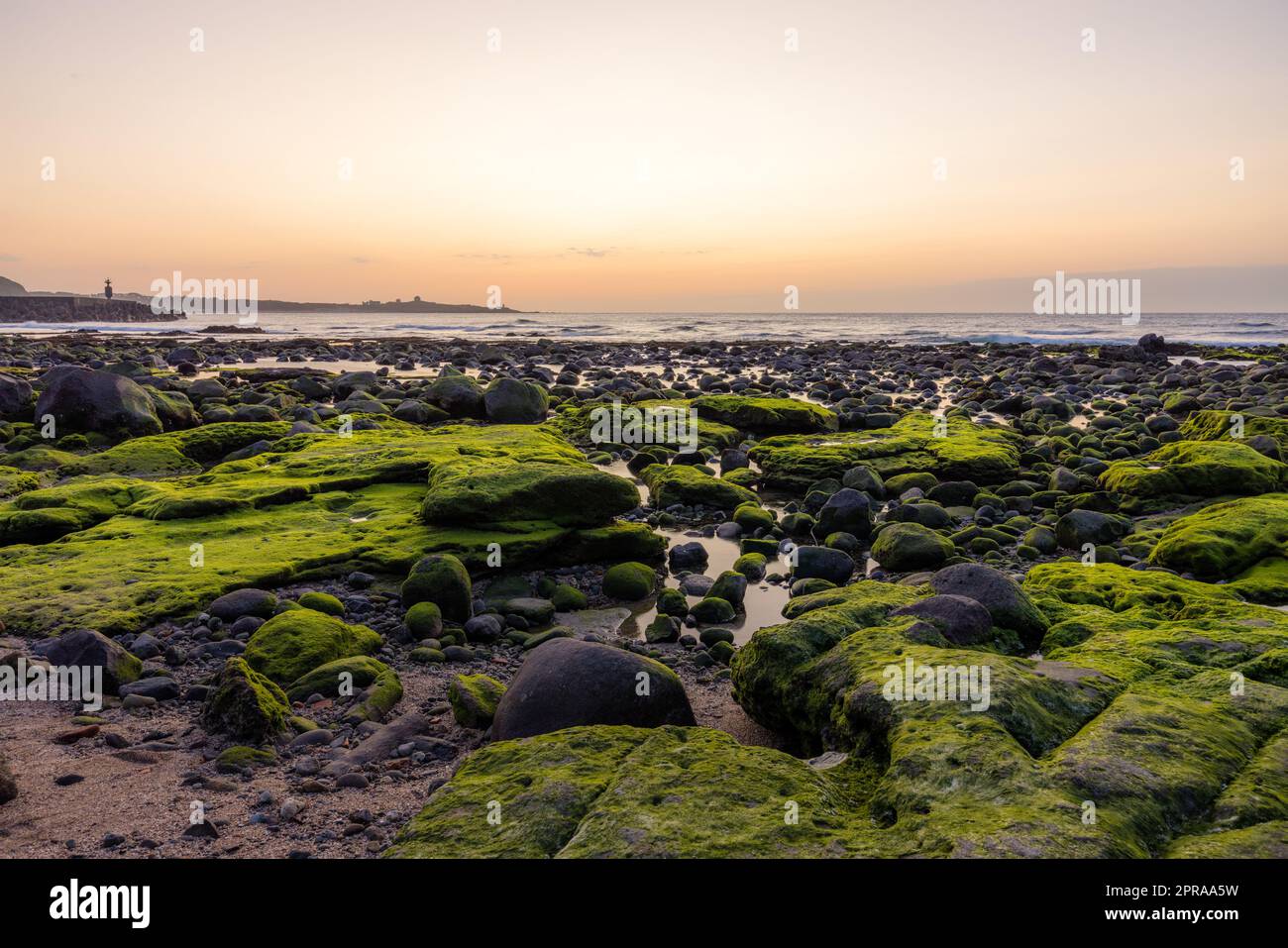 Reef wave hi-res stock photography and images - Alamy