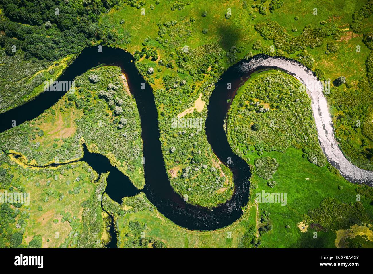 Aerial View Green Forest Woods And River Landscape In Sunny Spring ...