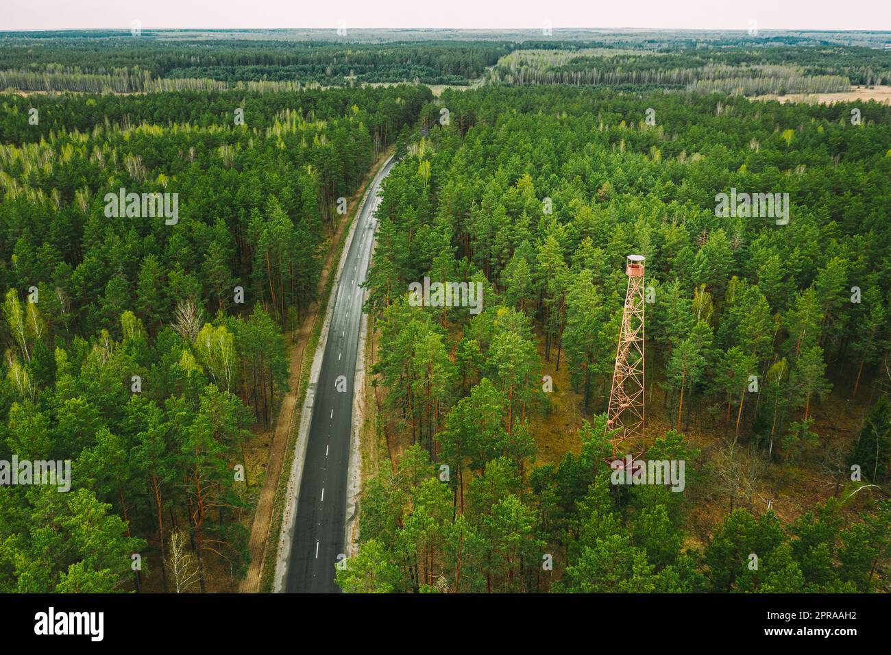 Aerial View Of Road Through Spring Forest Landscape. Top View Of Fire ...