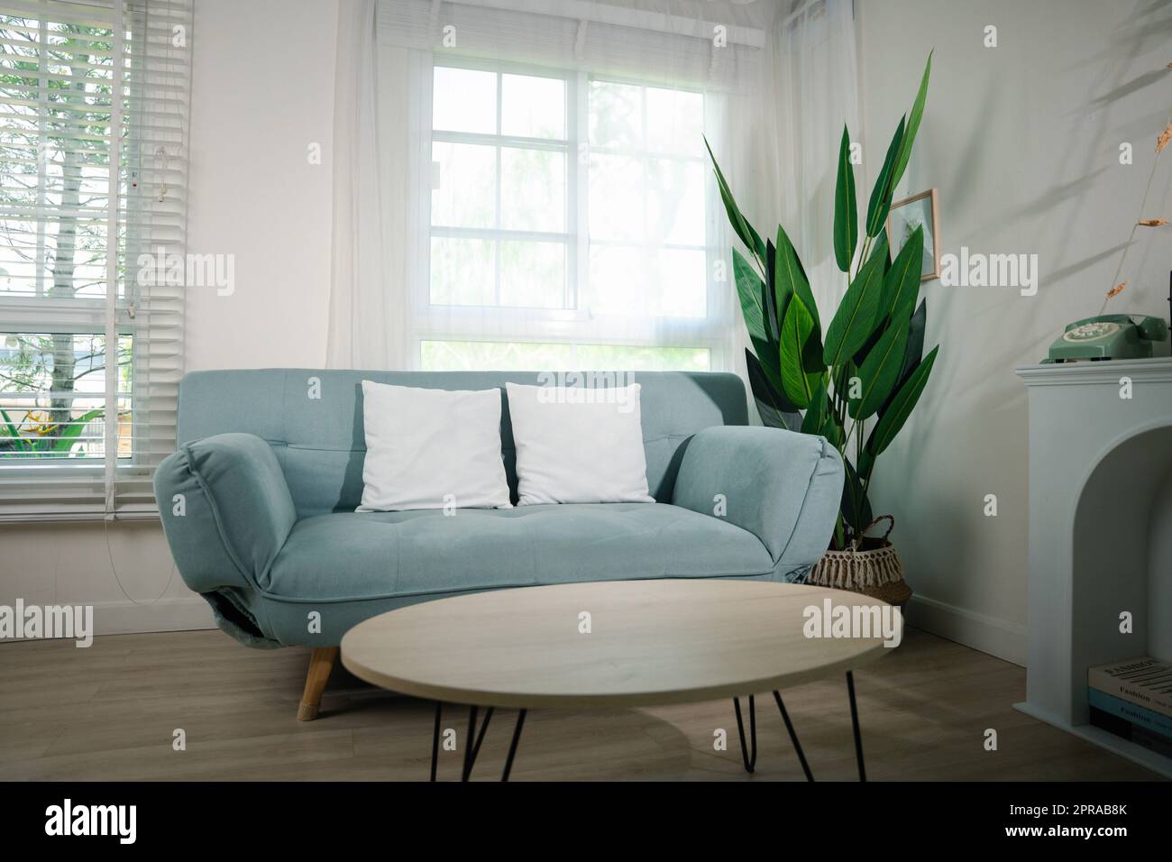 Minimal living room interior with comfortable modern green sofa near ...