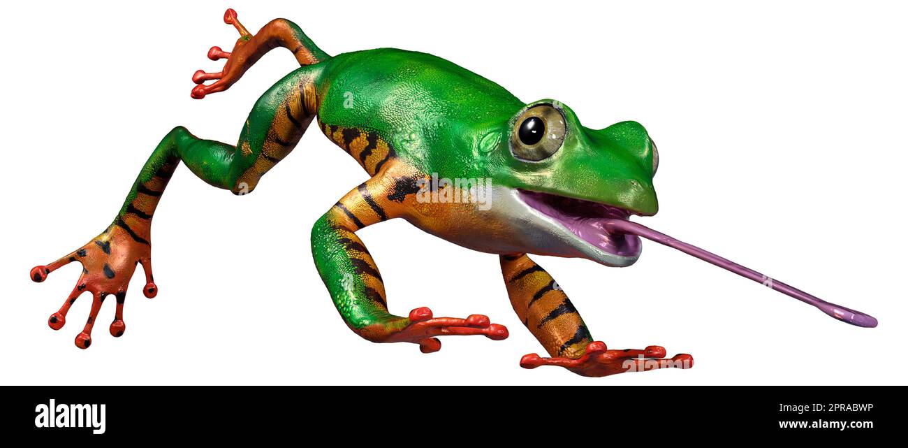 3D rendering of an Amazon tree frog isolated on white background Stock ...