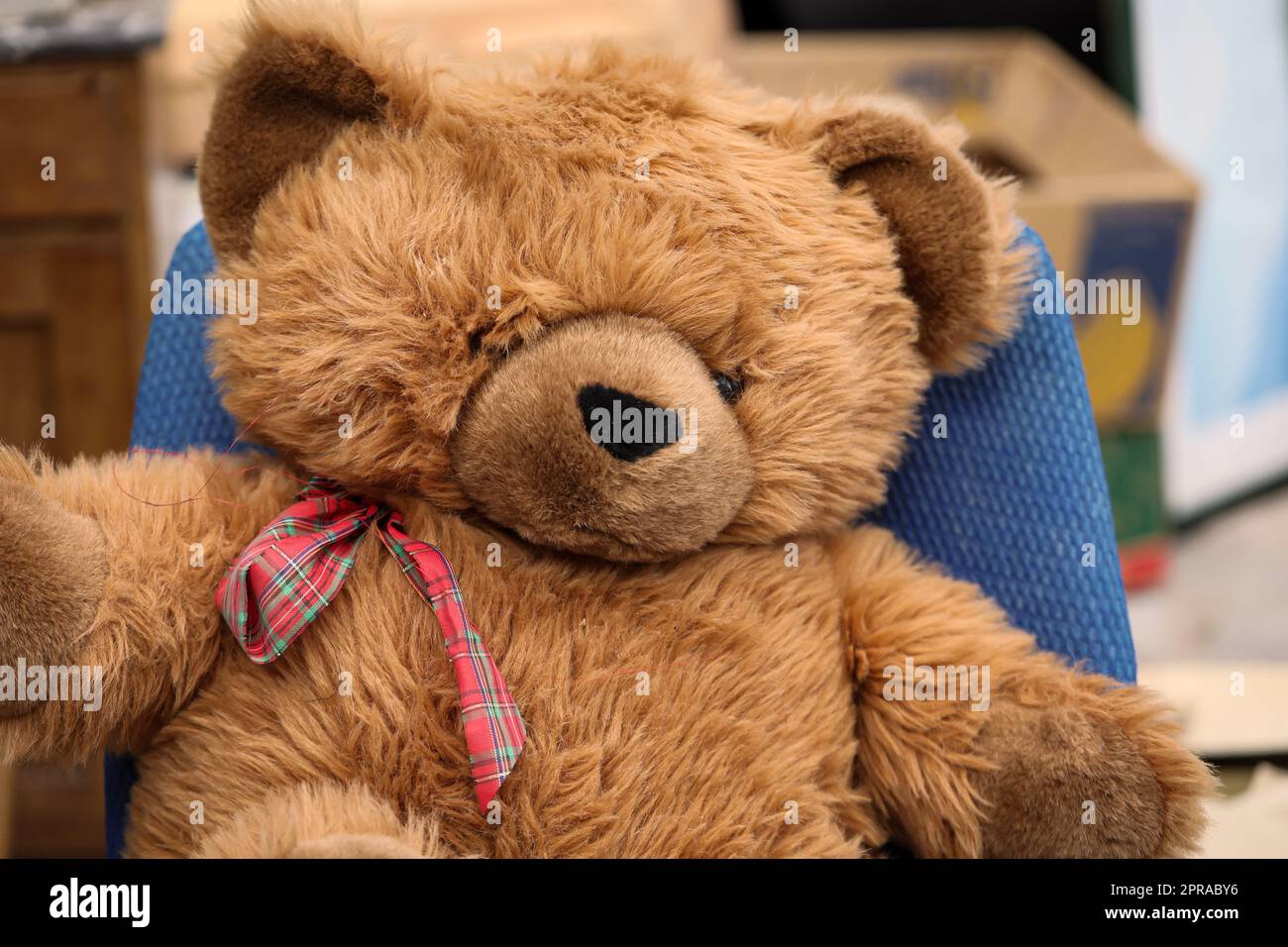 The dream of every child a real teddy bear Stock Photo - Alamy