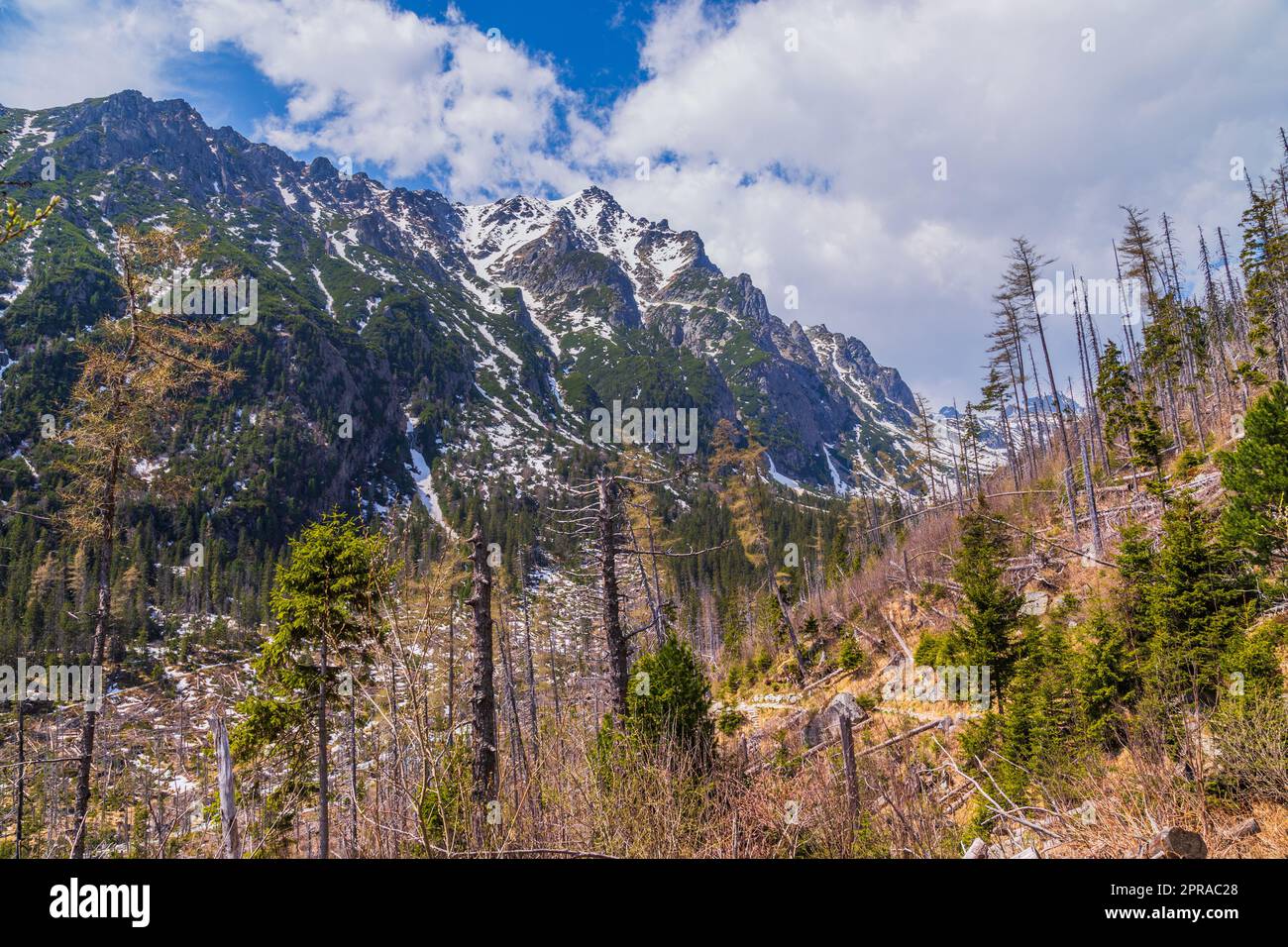 High Tatra Mountain Range Stock Photo - Alamy