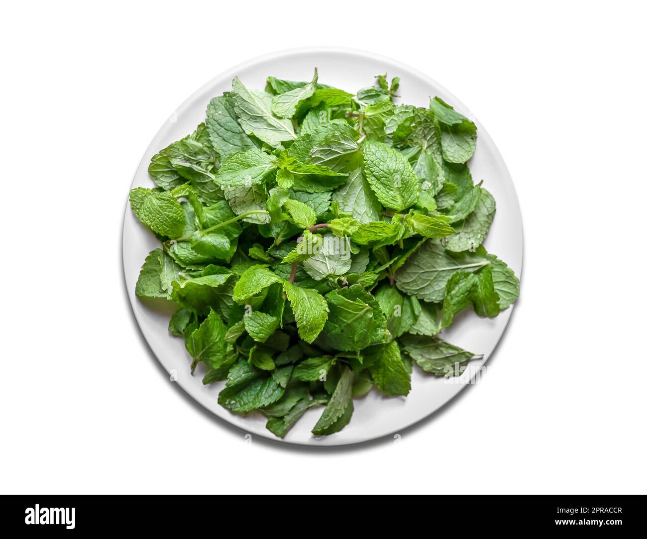 Bunch of mint leaves hi-res stock photography and images - Alamy