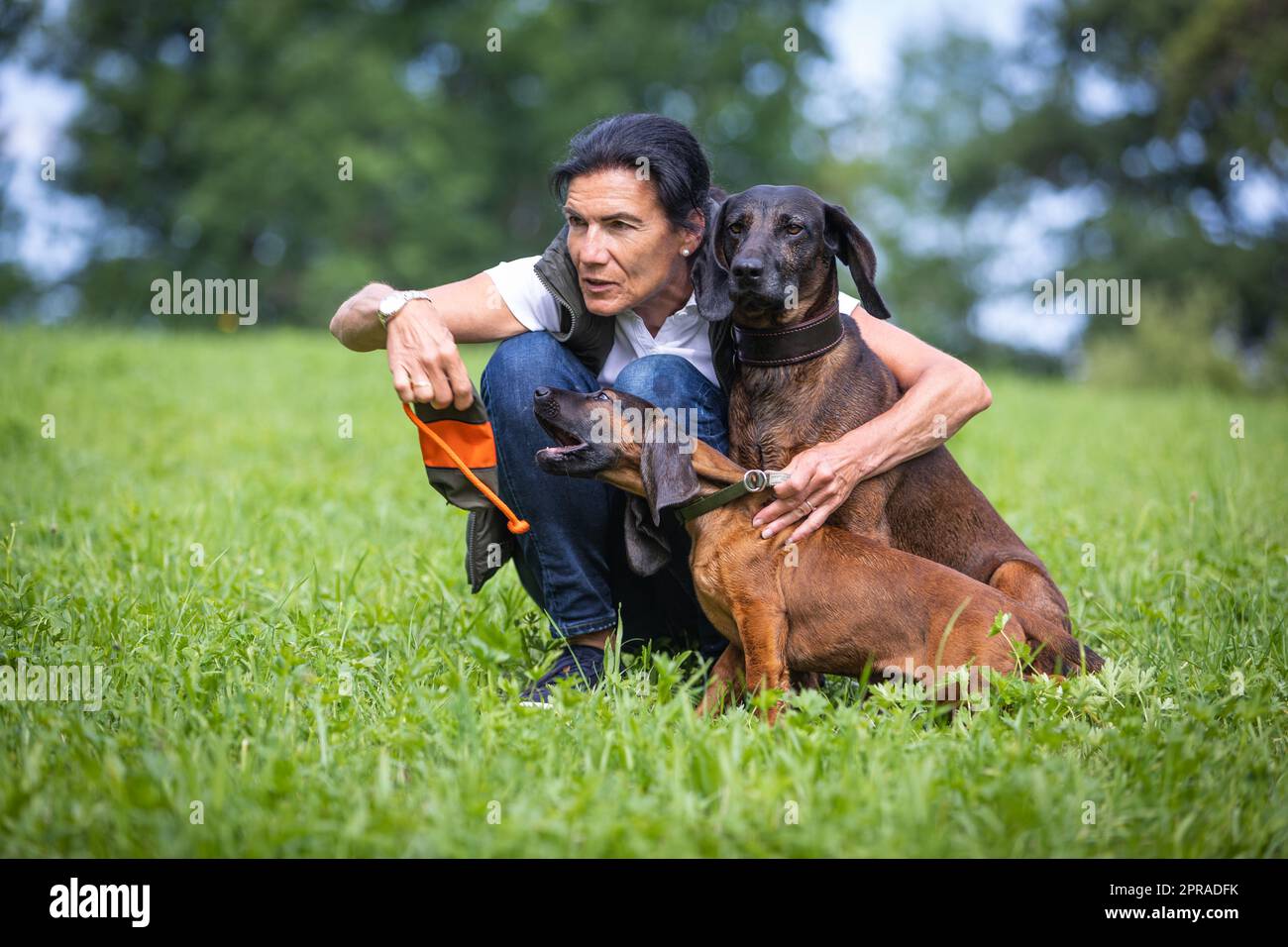 Distracted behavior hi-res stock photography and images - Alamy