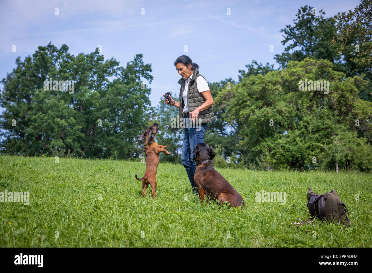 Baby stands hi-res stock photography and images - Alamy