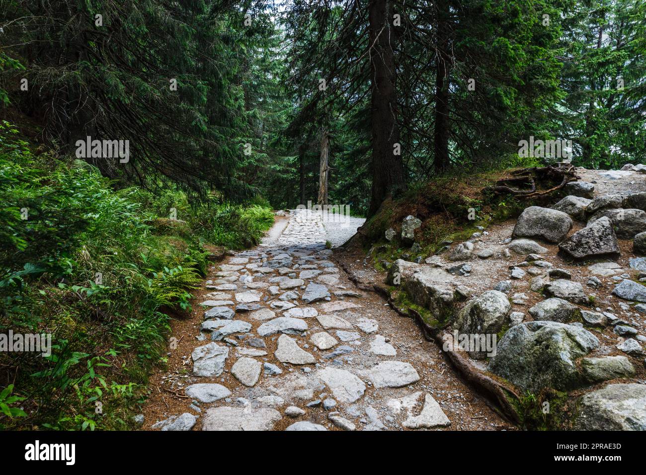 Hiking trail near Morskie Oko or Eye of the Sea, in the High Tatras ...
