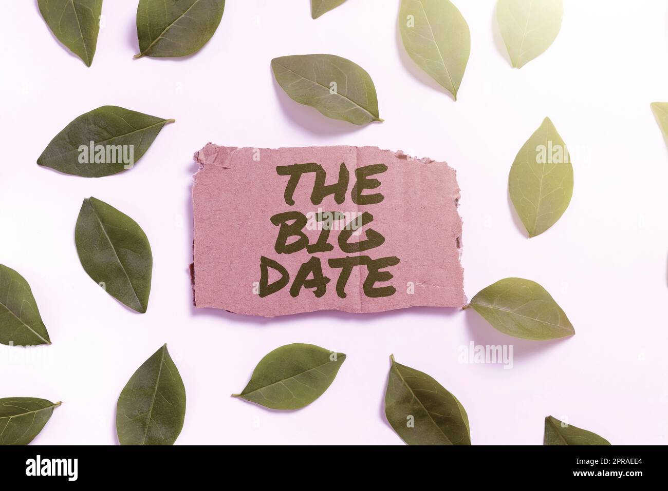 Text sign showing The Big Date. Business showcase Important day for a ...