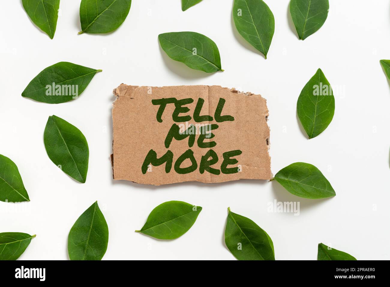 Handwriting text Tell Me More. Business approach A call to start a ...