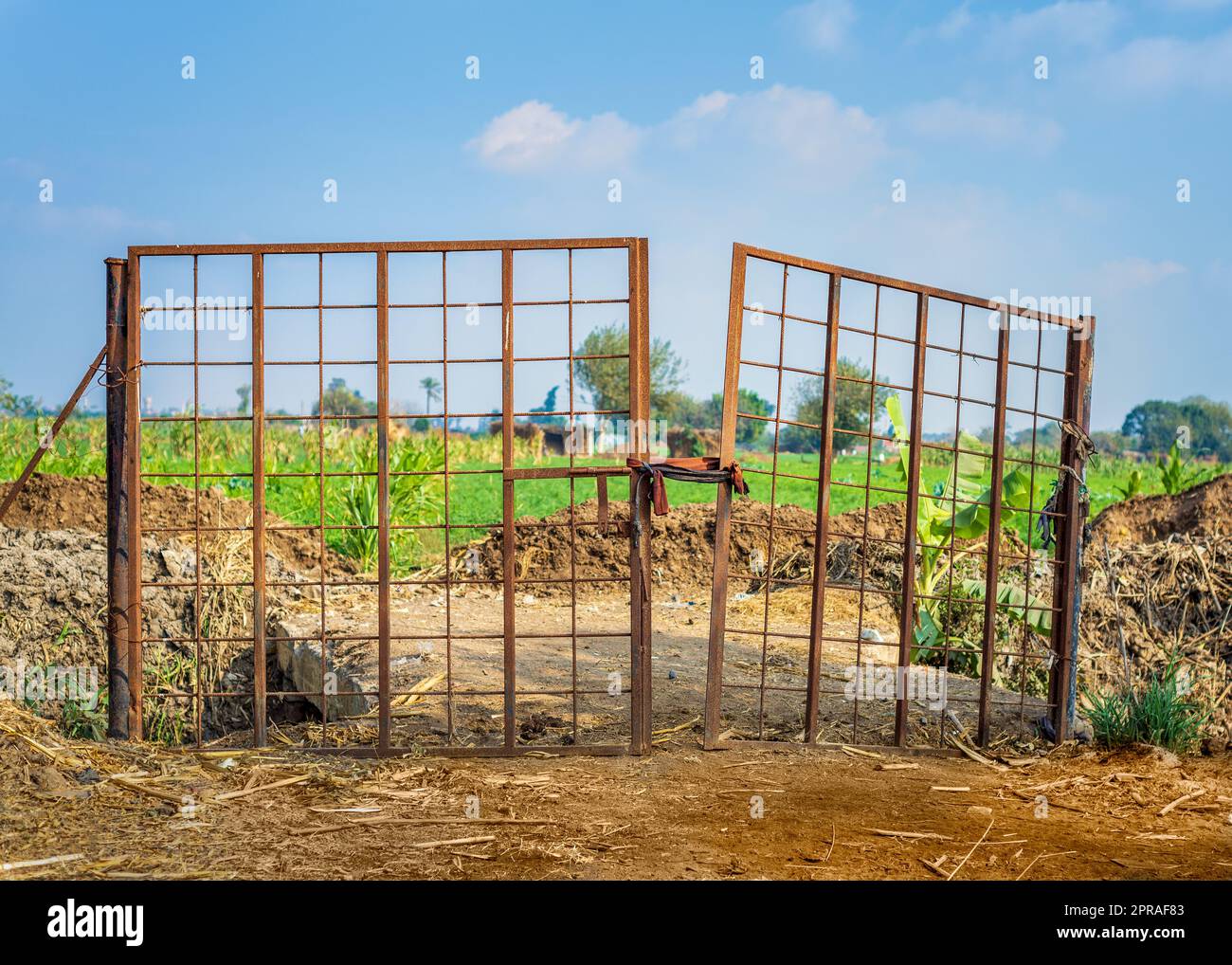 Rusty gate of farm enclosure in countryside Stock Photo - Alamy