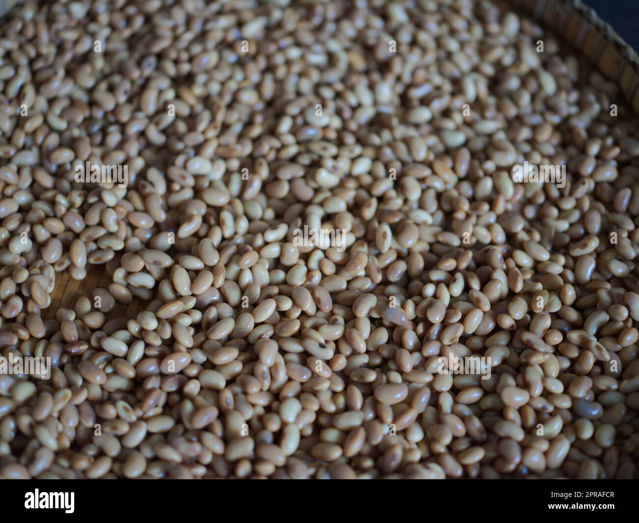 Close-up photo the texture of soy bean for HOW to Soy Product: Raw ...