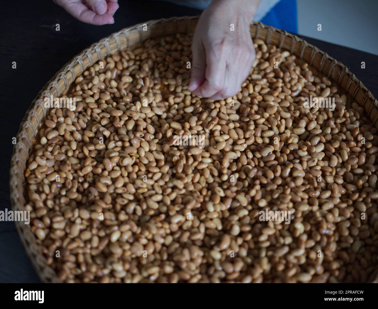 Close-up photo the texture of soy bean for HOW to Soy Product: Raw ...