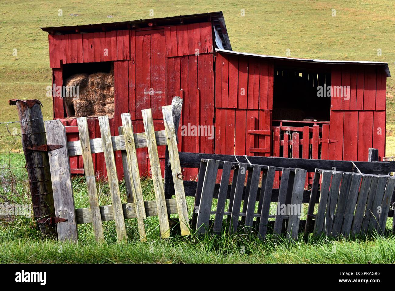 Red, wooden barn is boxy and irregular. Short loft is filled with hay ...