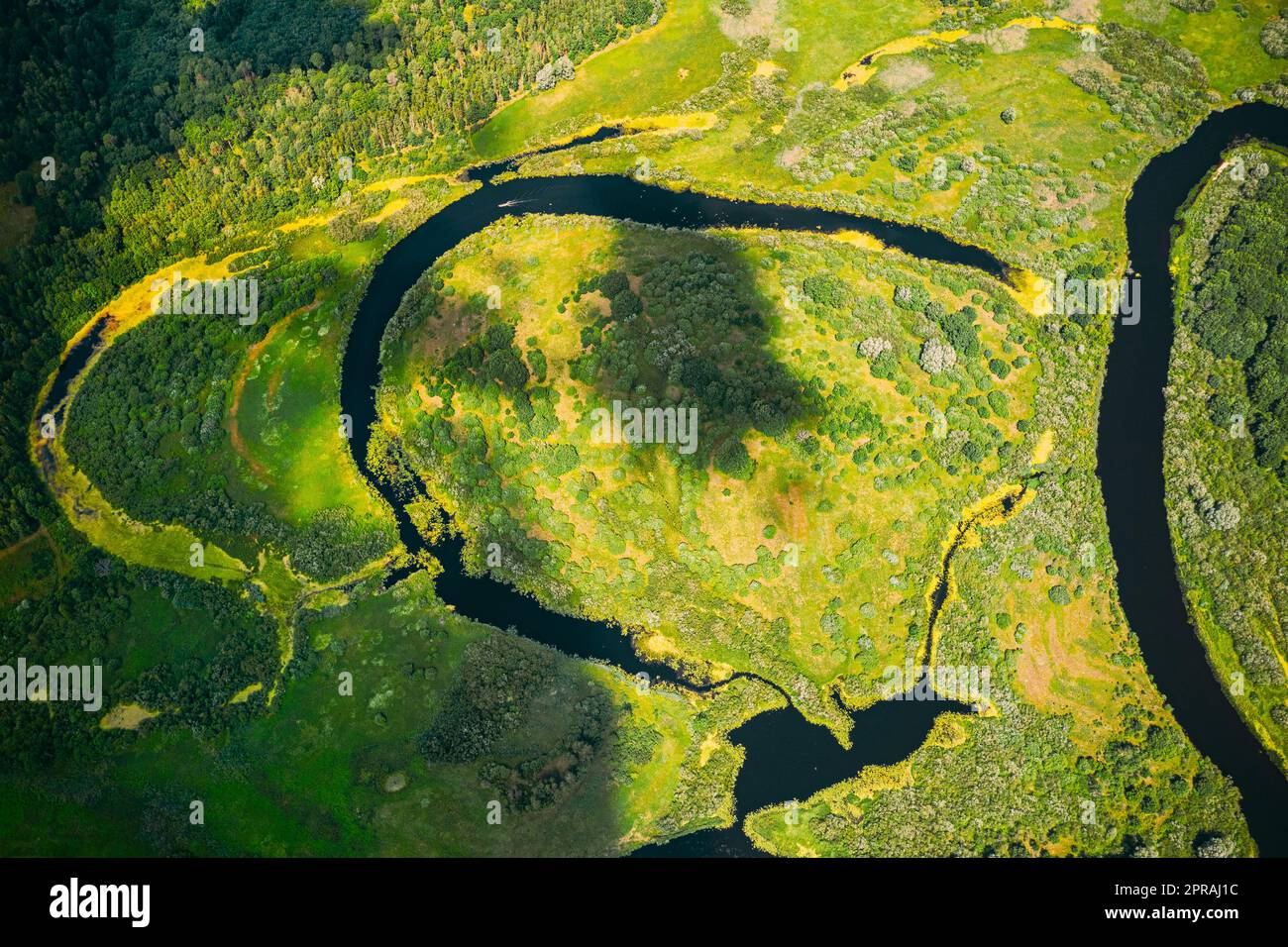 Aerial View Green Forest Woods And River Landscape In Sunny Spring ...