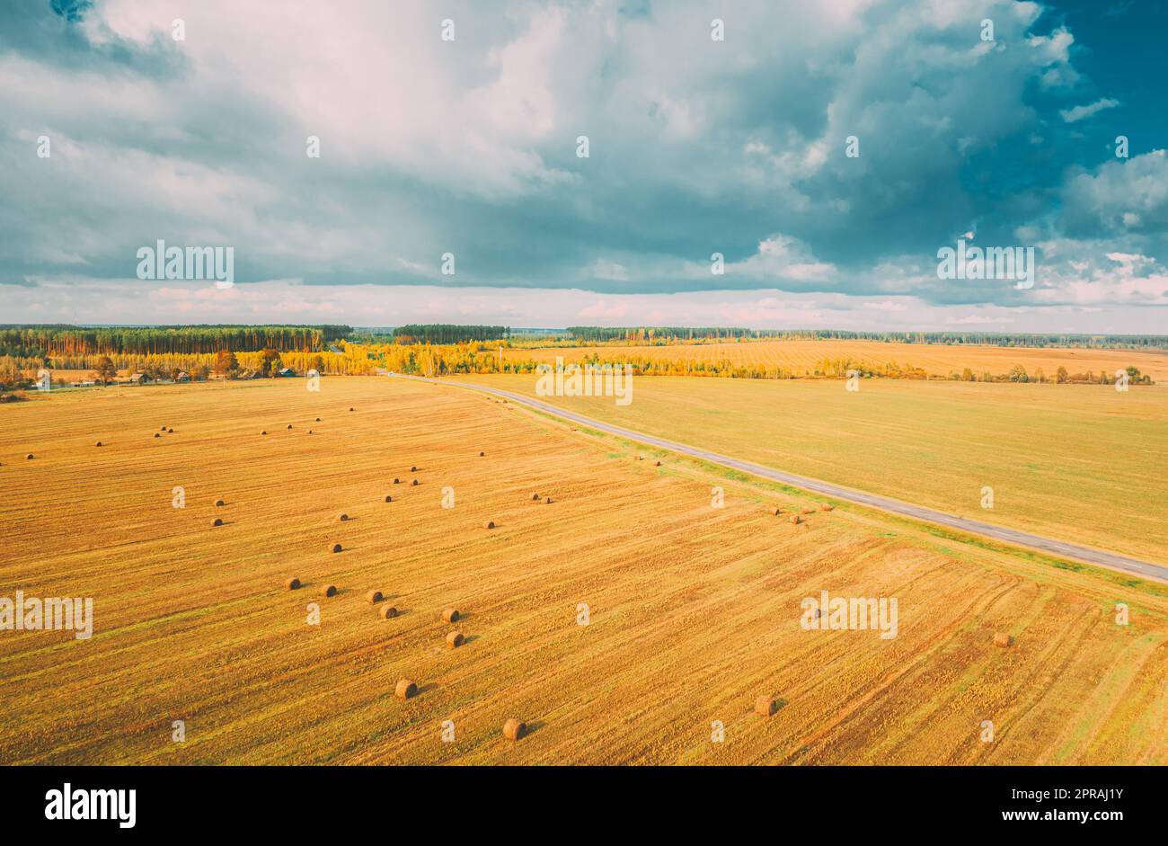 Aerial View Of Autumn Hay Rolls Straw Field Landscape. Haystacks, Hay ...