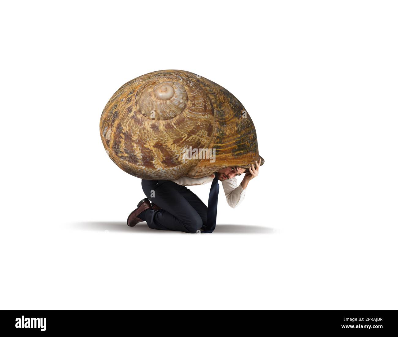 Scared businessman acts like a slow snail Stock Photo - Alamy
