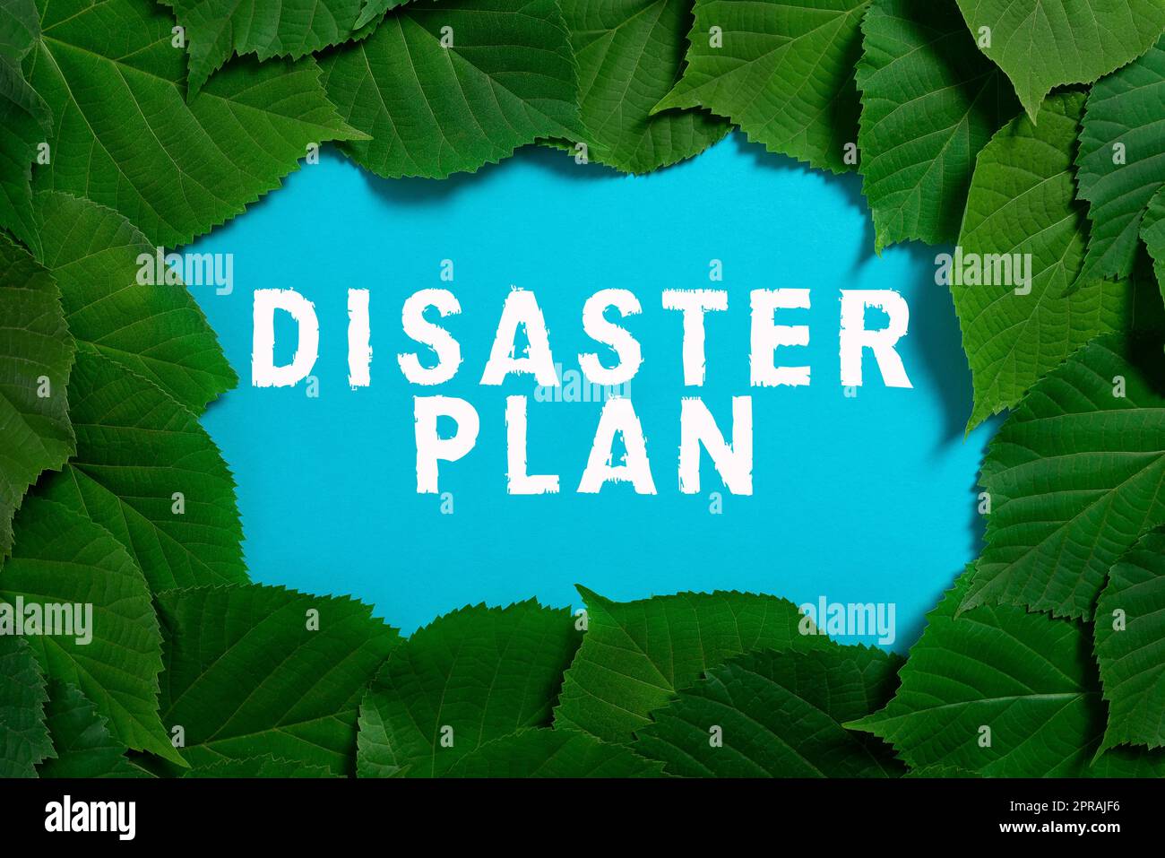 Hand writing sign Disaster Plan. Business idea Respond to Emergency ...