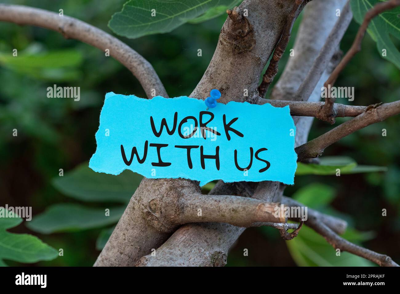 Conceptual caption Work With Us. Internet Concept Invitation to join a ... Conceptual caption Work With Us. Internet Concept Invitation to join a ...