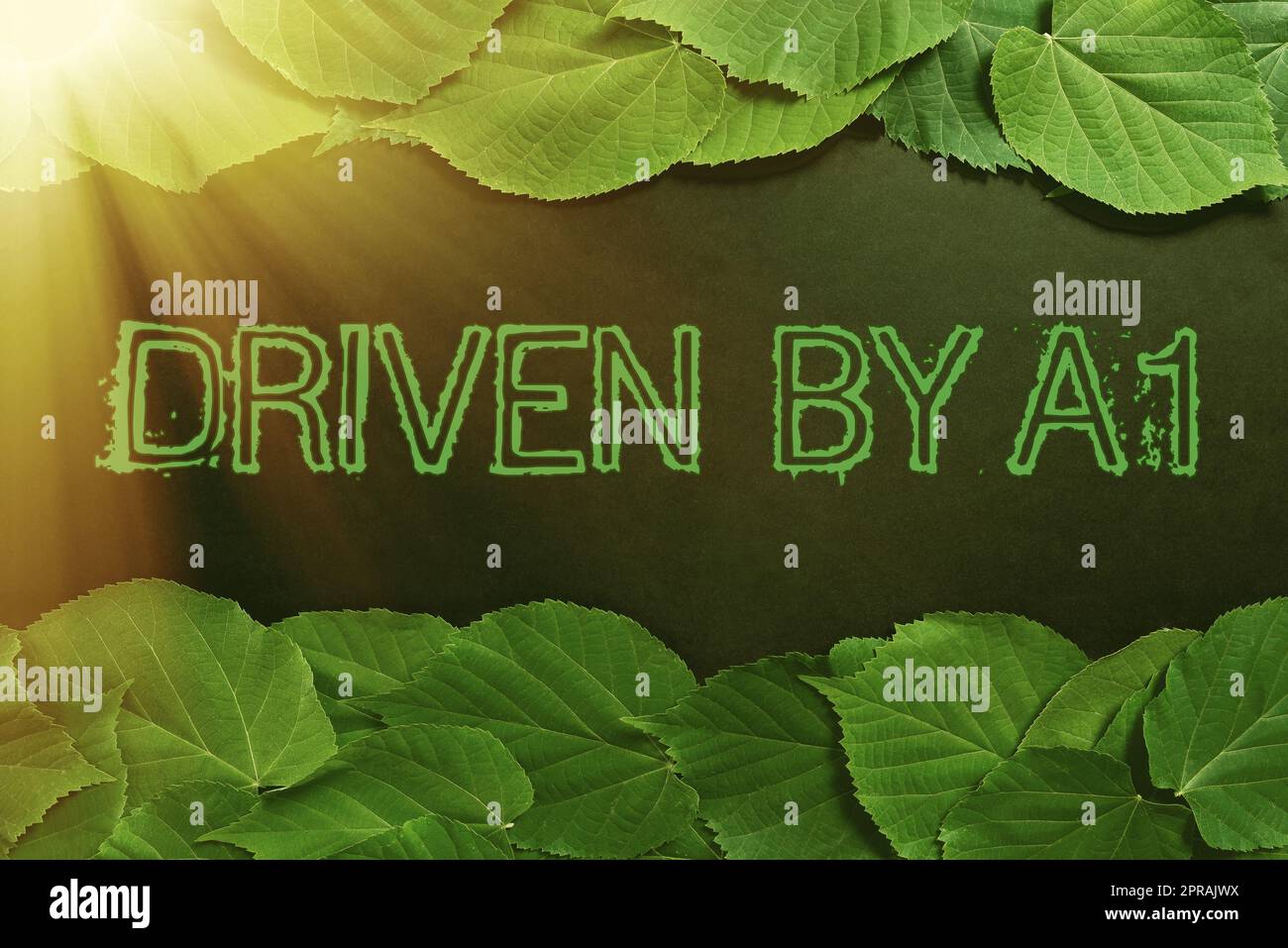 Under chassis hi-res stock photography and images - Alamy