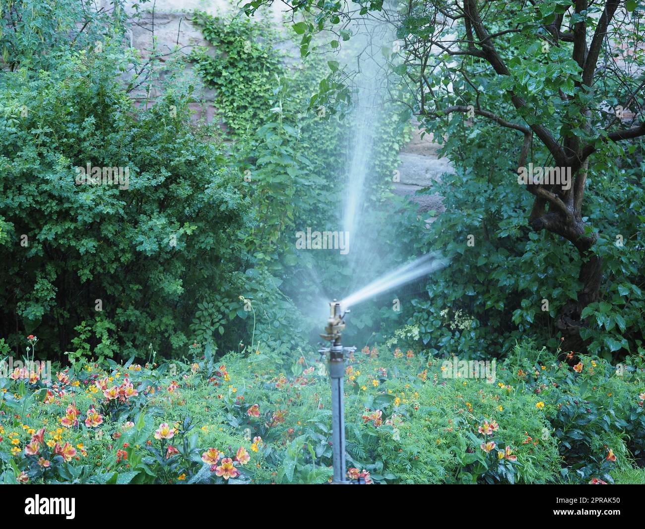 irrigation sprinkler device Stock Photo - Alamy