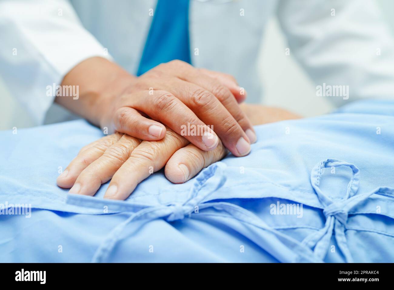 Doctor holding hands Asian elderly woman patient, help and care in ...