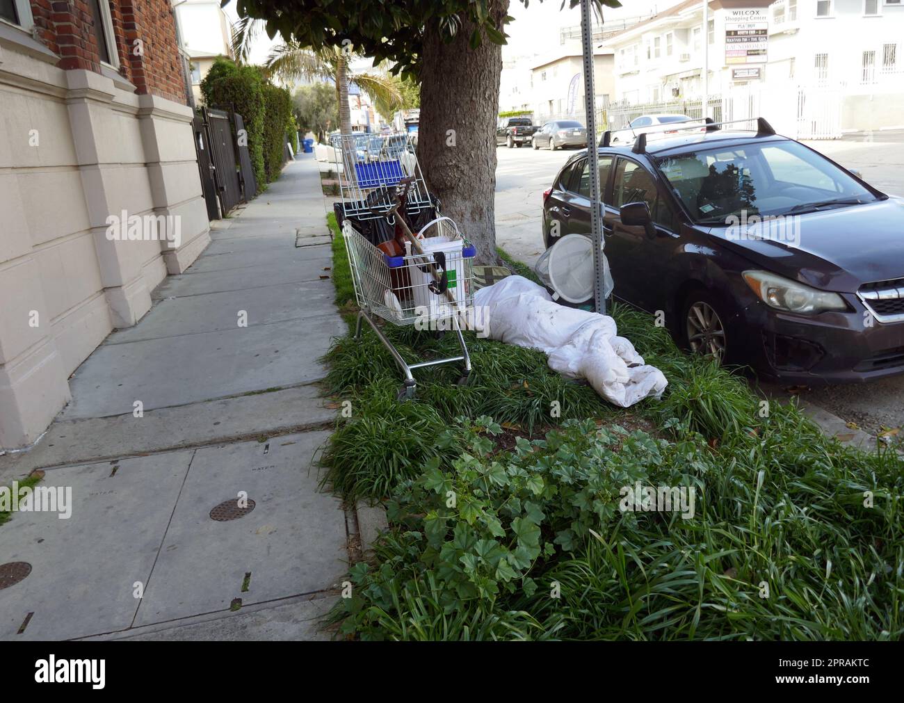 Los Angeles, California, USA 29th March 2023 A general view of ...