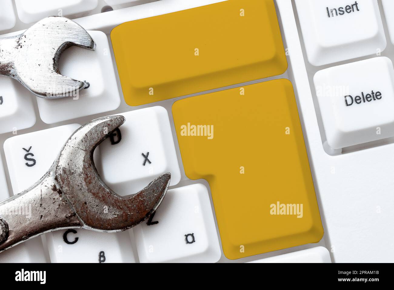 Editing Retyping Report Spelling Errors Typing Online Shop Inventory Internet Chatting