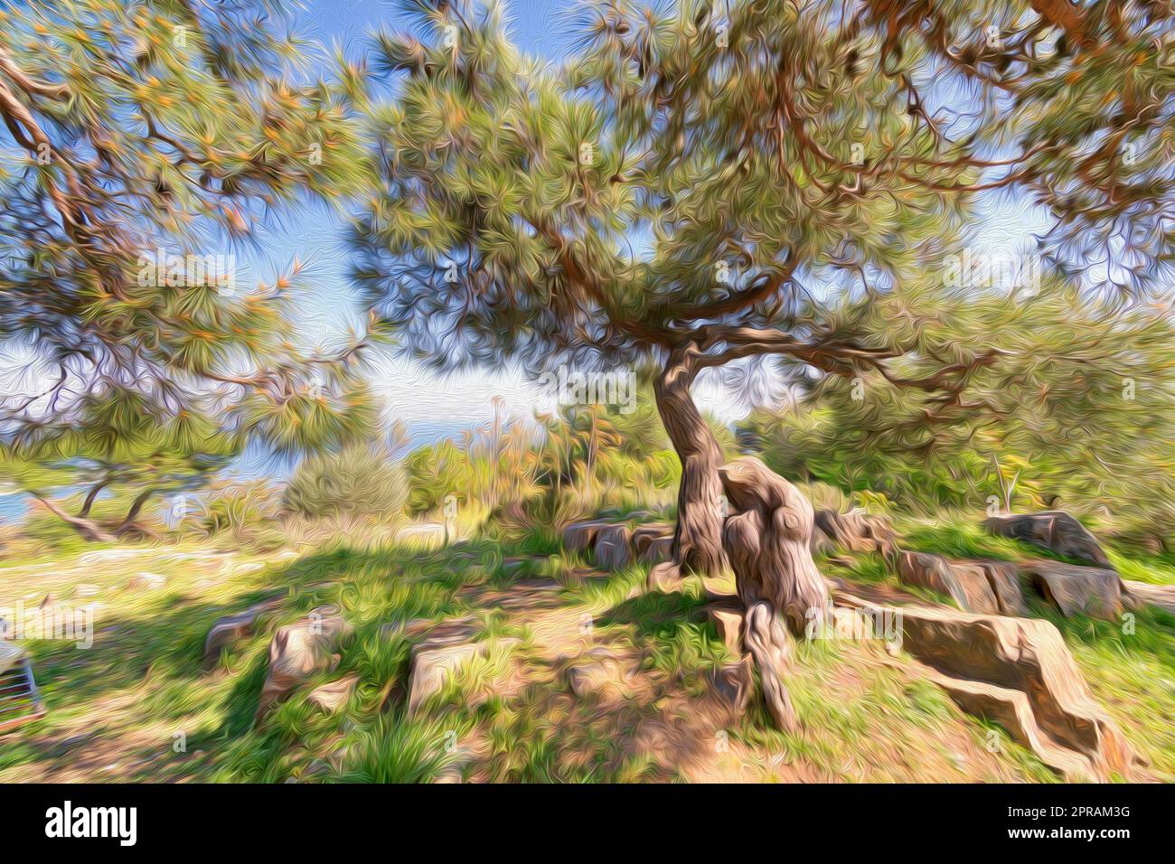 Beautiful summer landscape, with Photoshop effect of picturesque glade ...