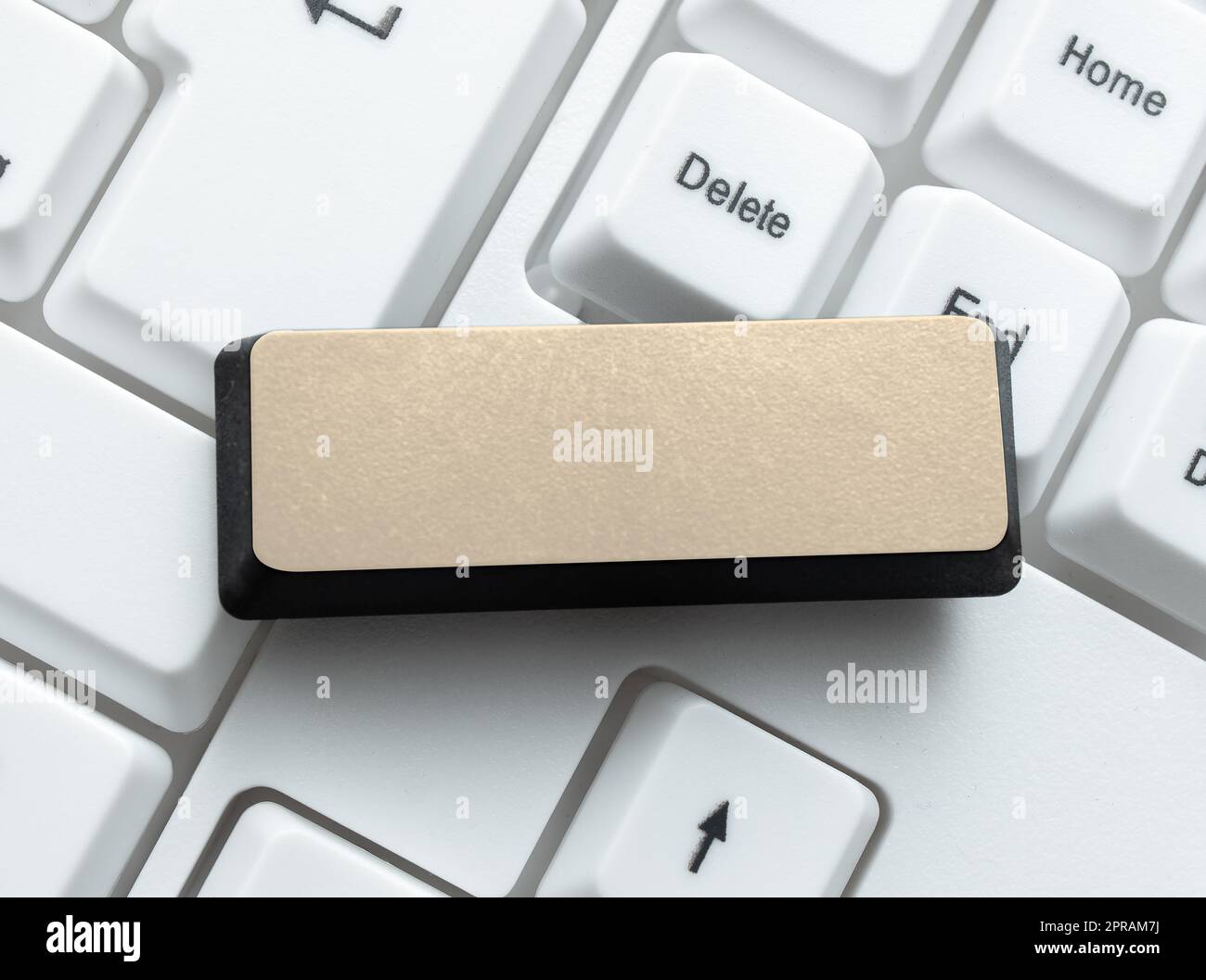 Downloading Online Files Data, Uploading Programming Codes, Chatting ...