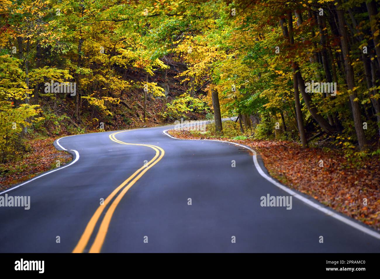 The climb to Bays Mountain Park, Kingsport, Tennessee, is a twisting ...