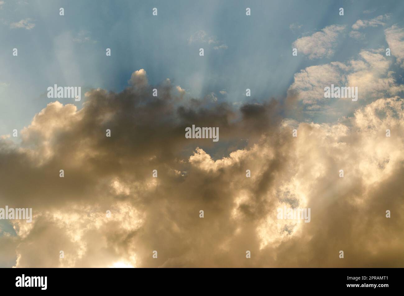 Beautiful golden bright sun hi-res stock photography and images - Alamy