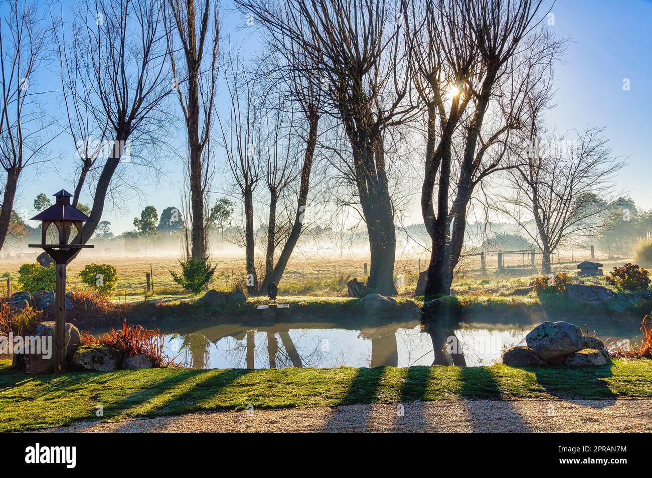 Flare wintry hi-res stock photography and images - Alamy