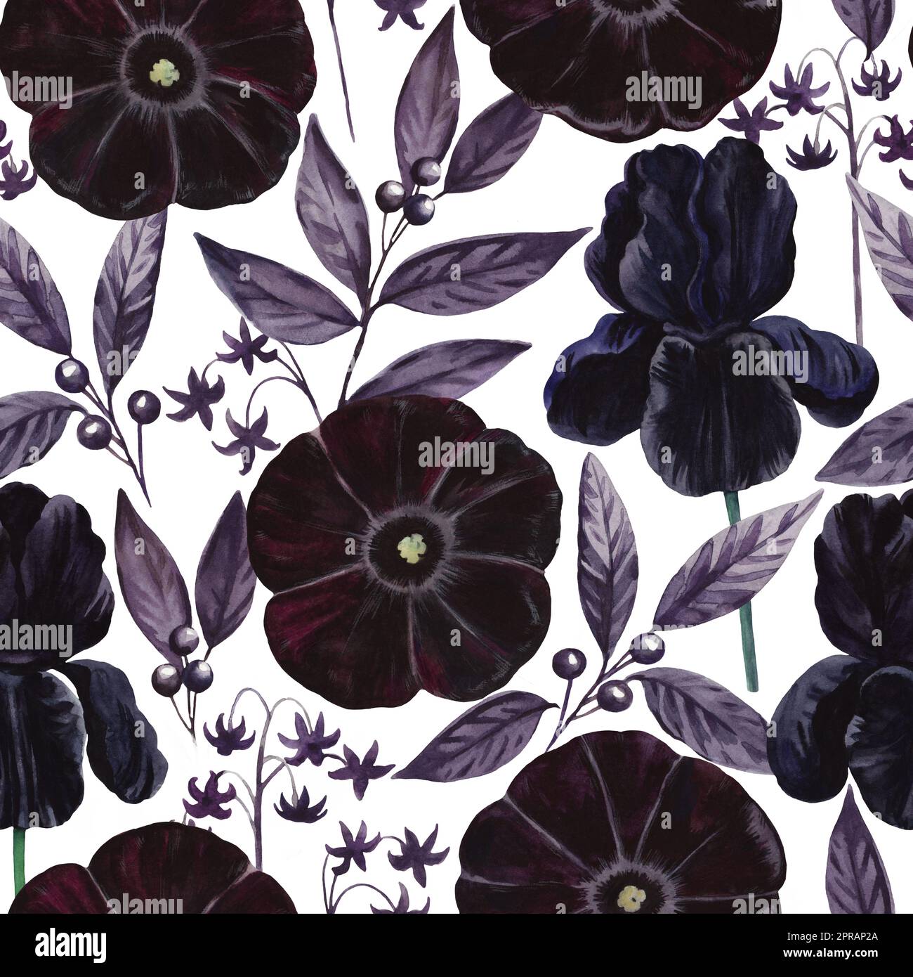 Gothic floral seamless pattern with watercolor black and purple velvet ...