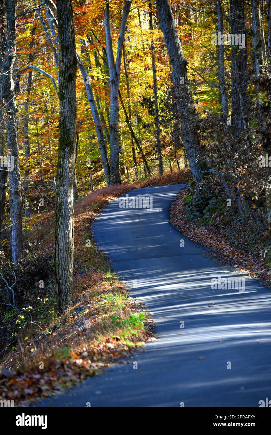 Country lane twists and turns around Autumn trees in rural Tennessee ...